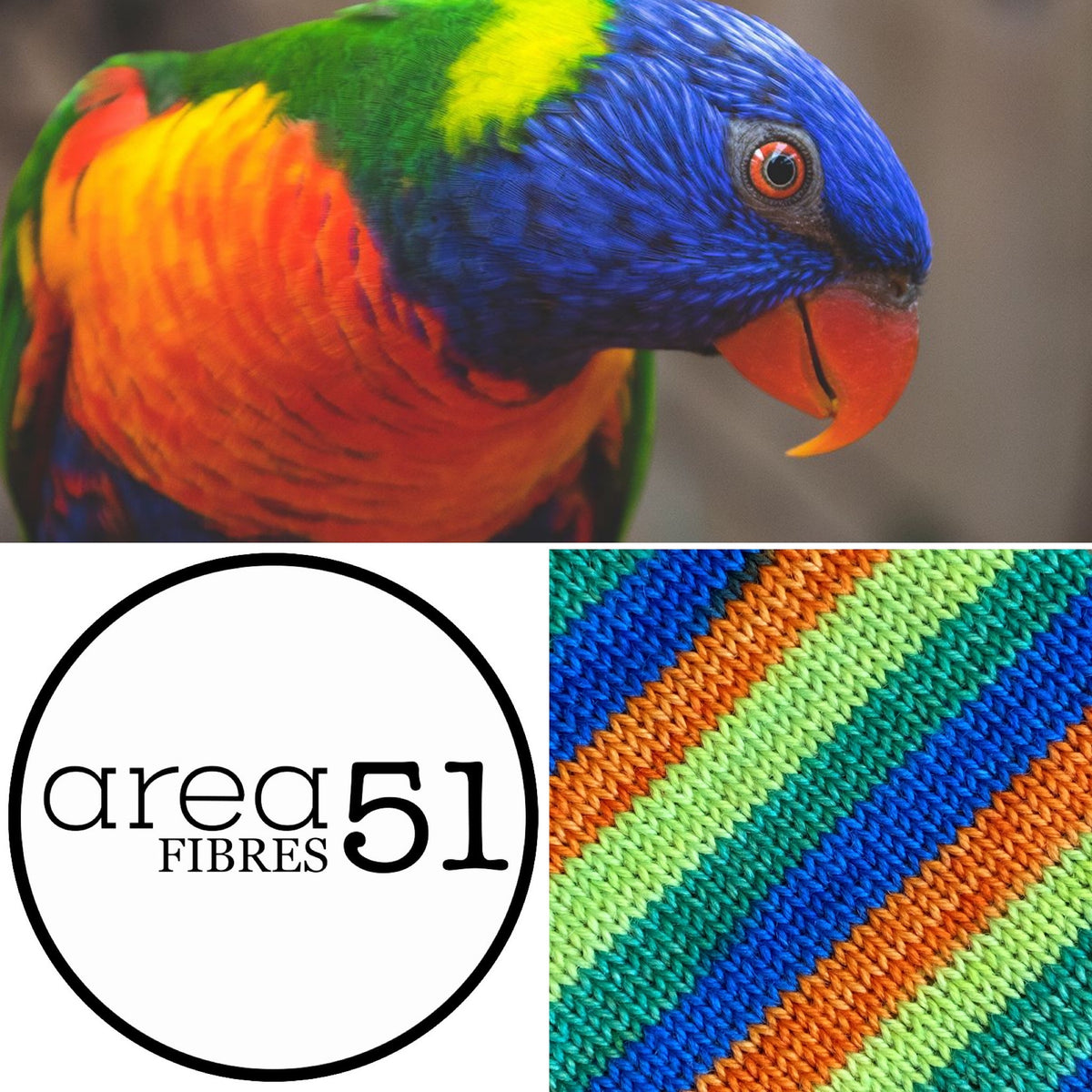 NATIONAL PARROT DAY | 50g Half Skein | Ready to Ship – area 51 Fibres